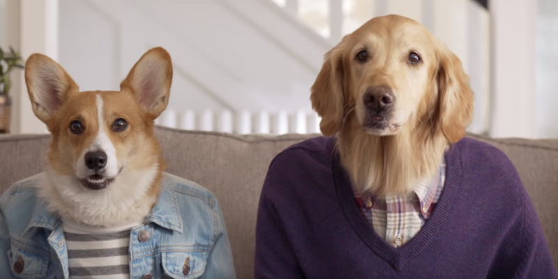 2018: Resolve: ‘Max and Cooper’ – Havas New York – Reckitt Hygiene ...